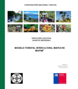 Modelo Forestal Intercultural Mapuche (MOFIM) – Portal de las Culturas ...